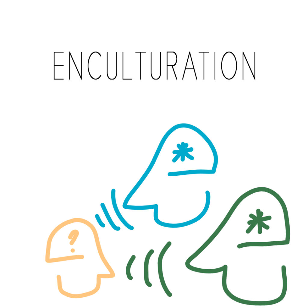Enculturation